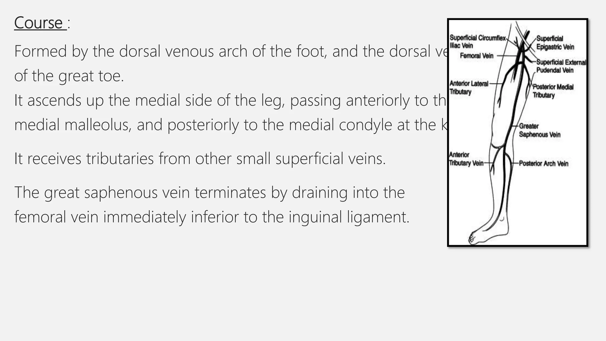 Conduits used in CABG. | PPTX