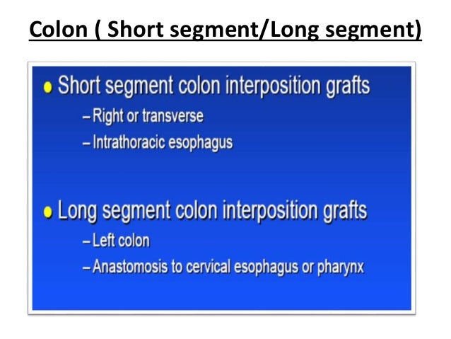 Conduits after esophagectomy for esophageal reconstruction