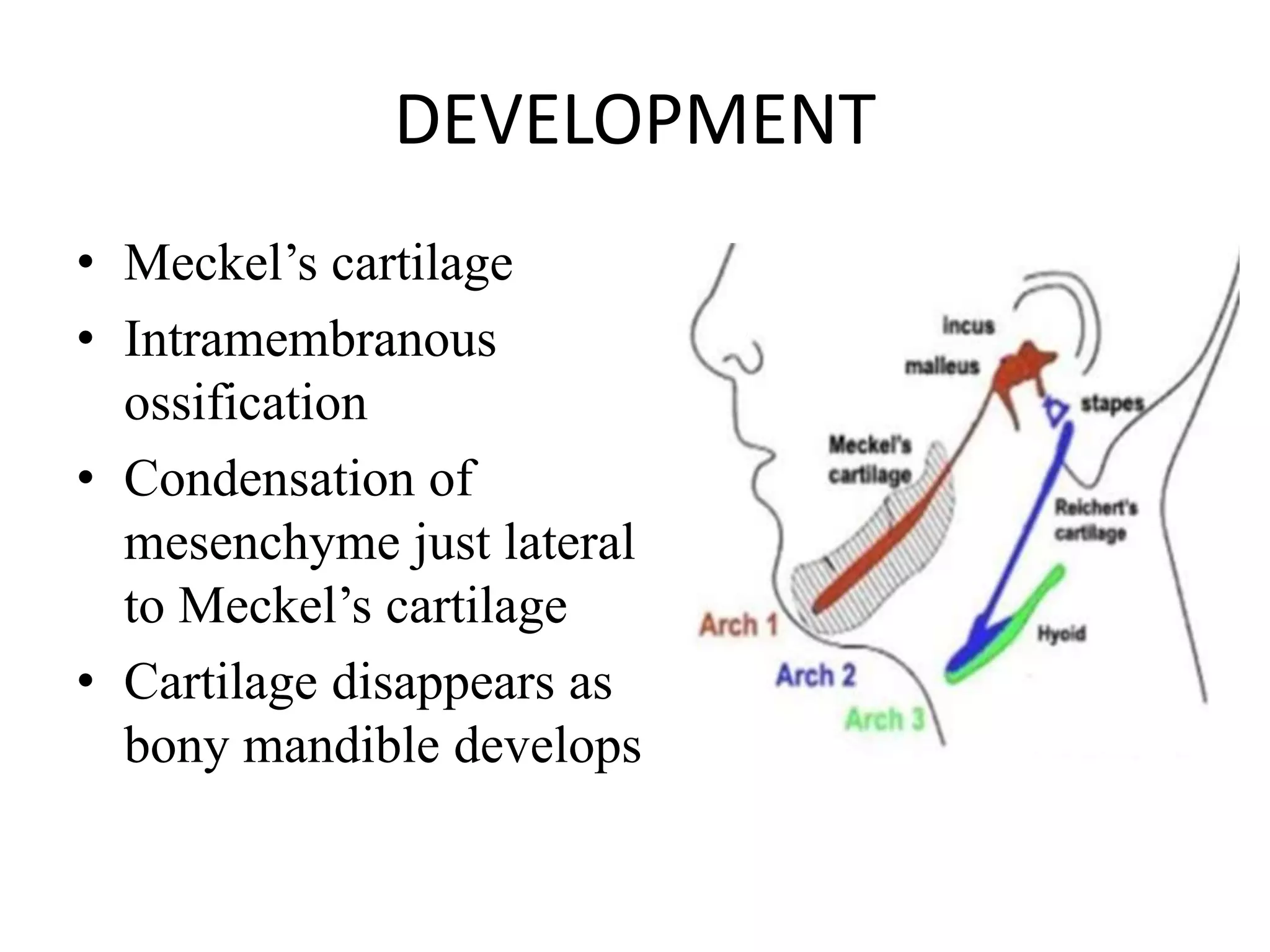 Mandibular Condylar fractures & its Management | PPTX