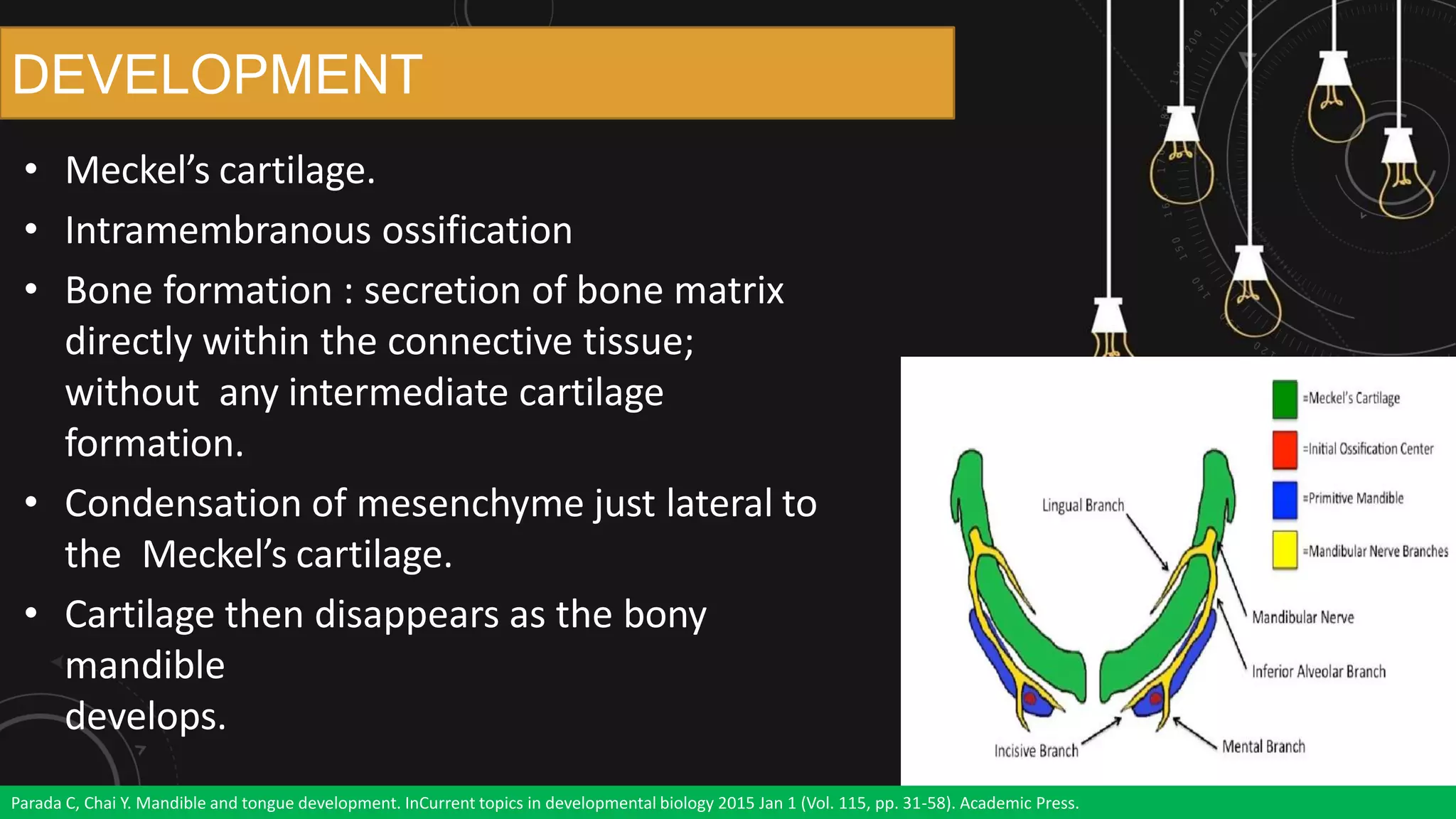 Management of Mandibular Condyle fracture | PPTX