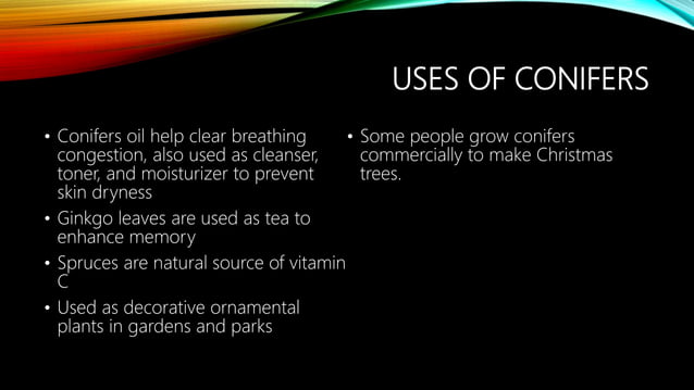 Cone bearing plants | PPTX