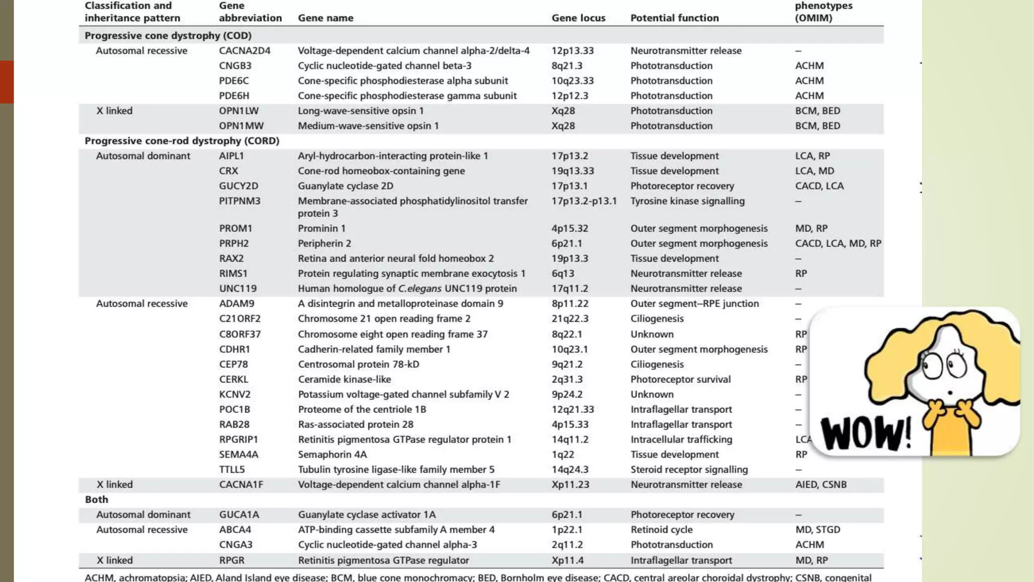 Cone and Rod Dystrophy | PPTX
