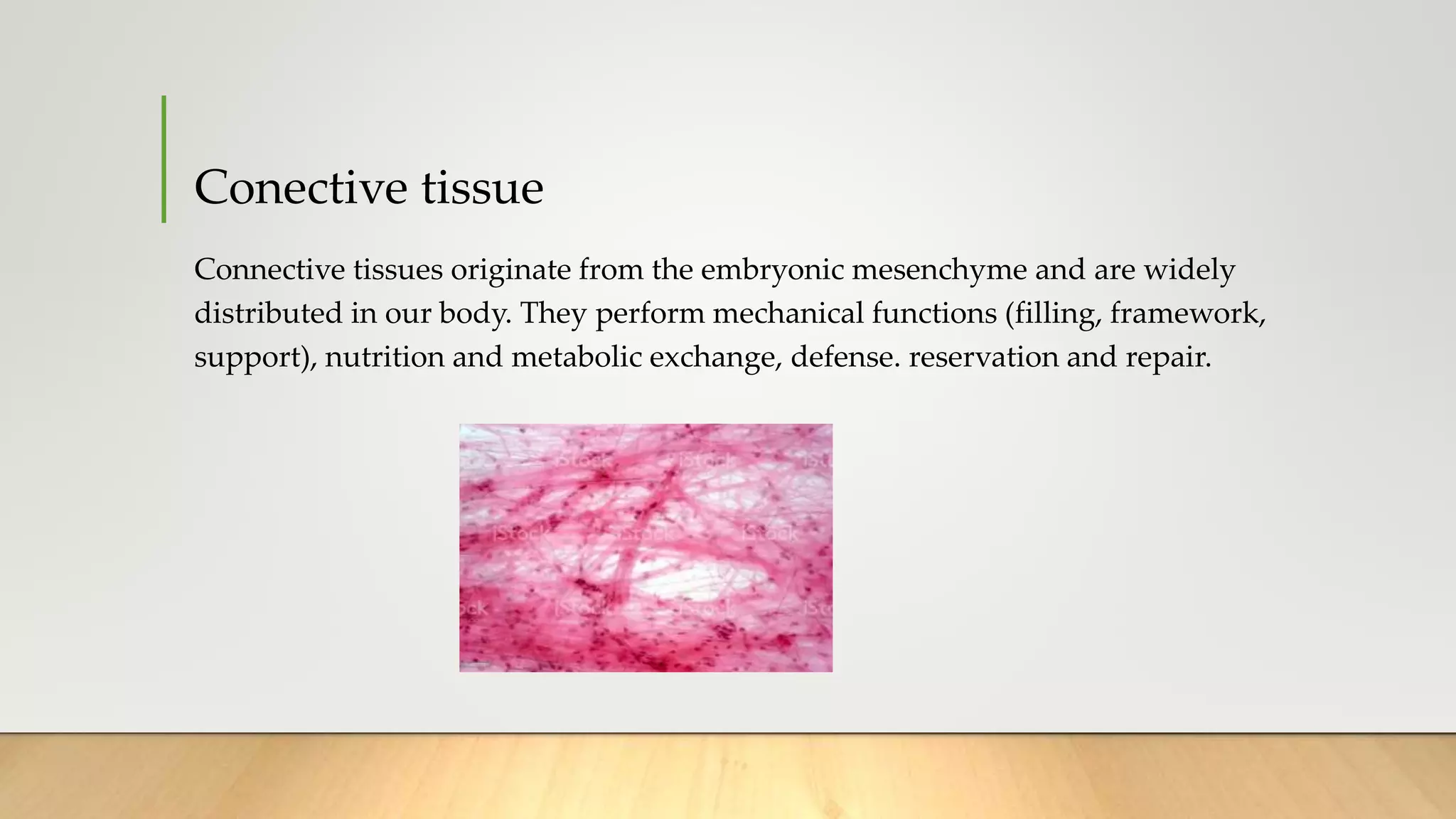 Conective tissue.pptx