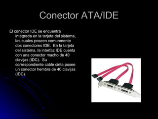 Conectores internos | PPT