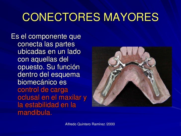 Conectores Mayores Y Apoyos