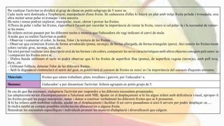 Coneixem les fruites | PPTX