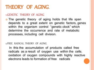 Conepts of theories of ageing | PPTX