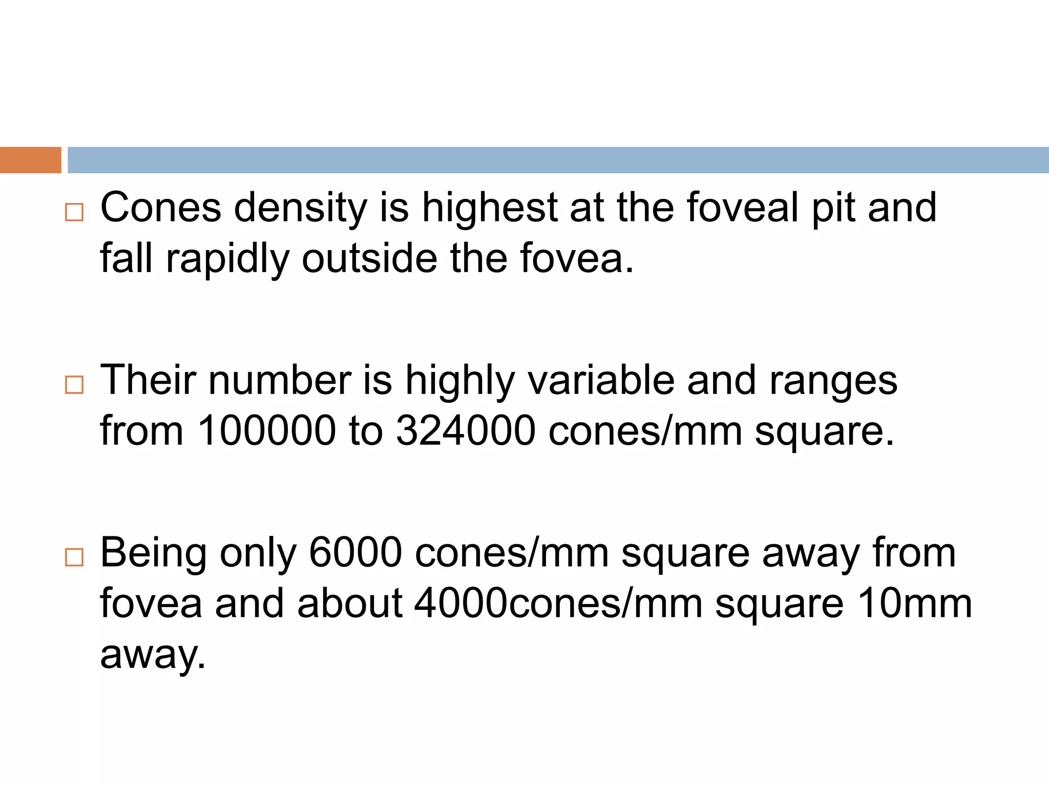 Cones | PPTX