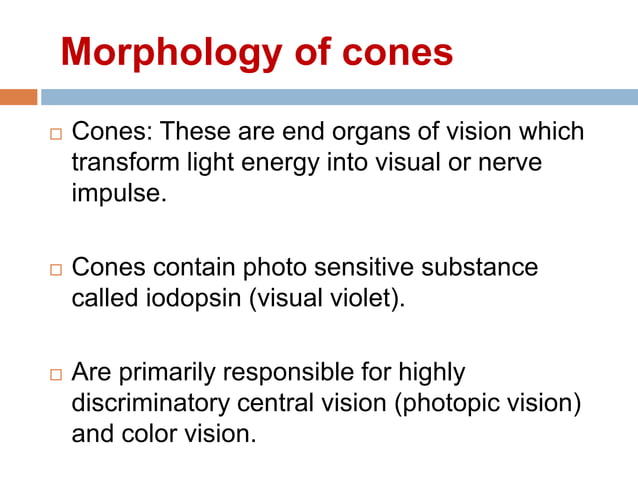 Cones | PPT