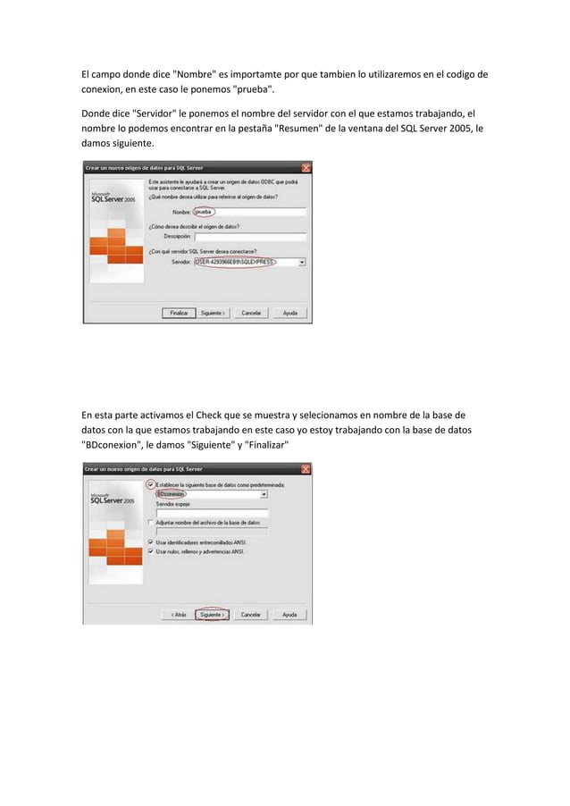 Conexion Sql Server 2005 Java Netbeans Pdf