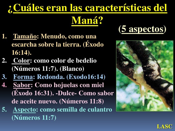 CONF. EXODO 16:1-30. (EX. No. 16). DIOS PROVEE EL MANA AL PUEBLO DE I…
