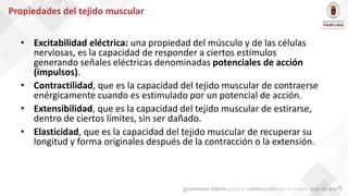 Conf - Musculo esquelético.pdf.......... | PDF