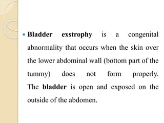 Confenital abnormalities of kidney | PPTX