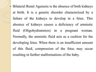 Confenital abnormalities of kidney | PPTX