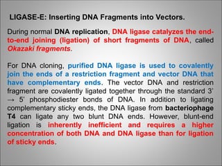 CONFERENCE 5-Techniques in Genetic Engineering-1.ppt