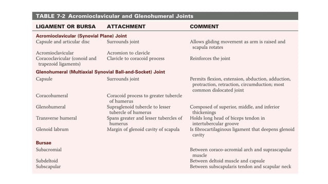 Conference Ant Shoulder Dislocation Ppt