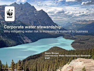 The Water Imperative: New Standards in Corporate Water Leadership | PDF ...