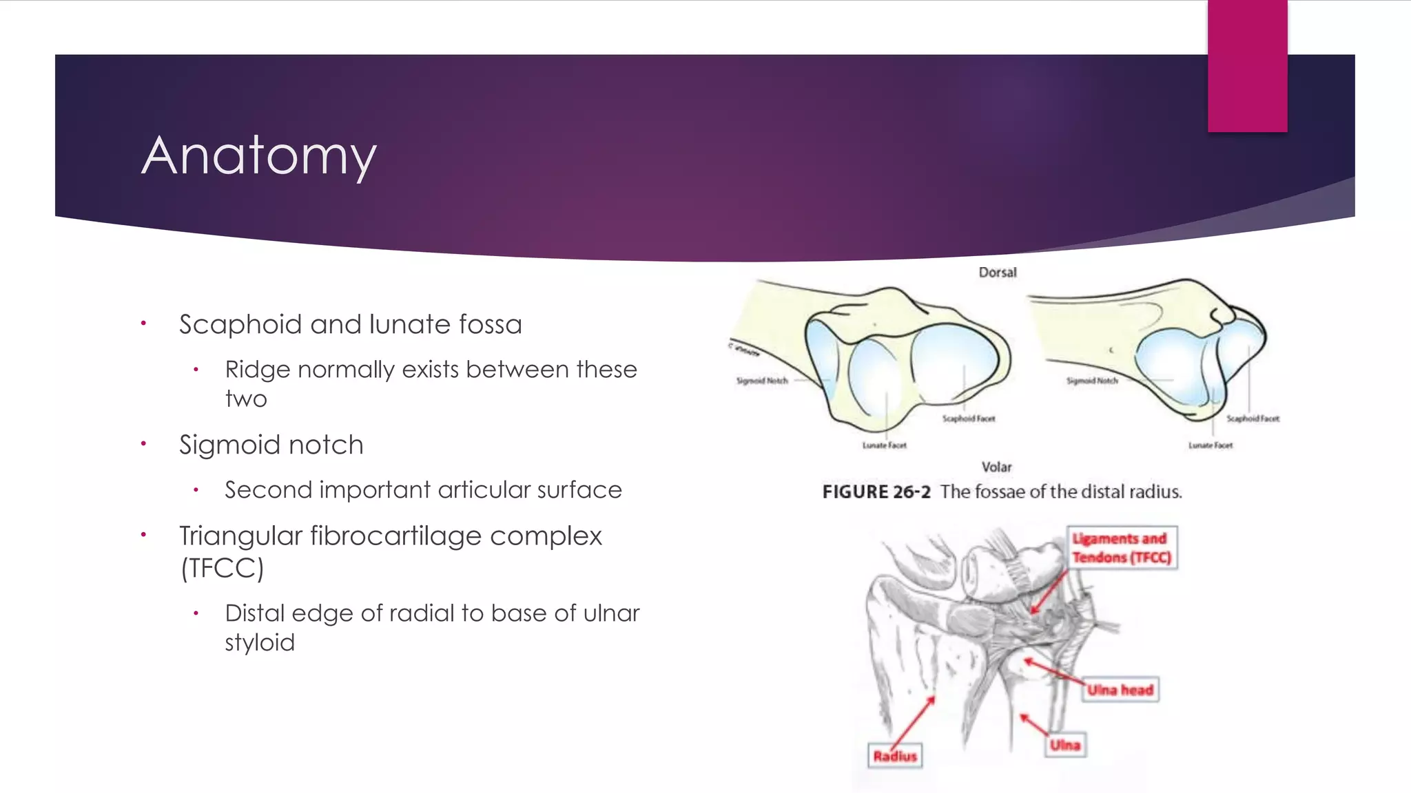 ConferenceExt. | PDF