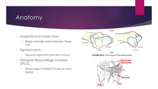 ConferenceExt. | PPT