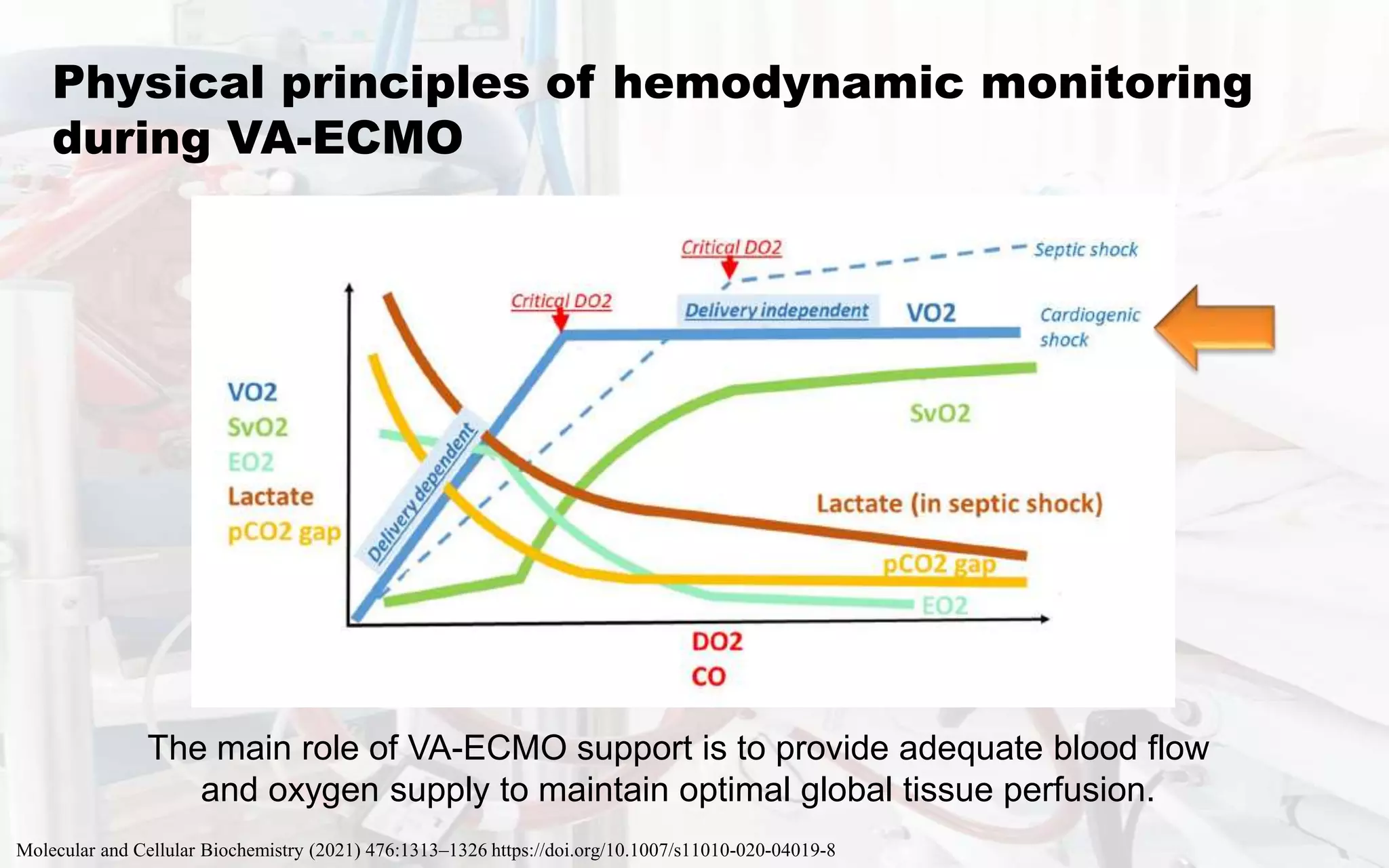 2022 Conference hemodynamic monitoring in VA ECMO | PPTX | Heart and ...