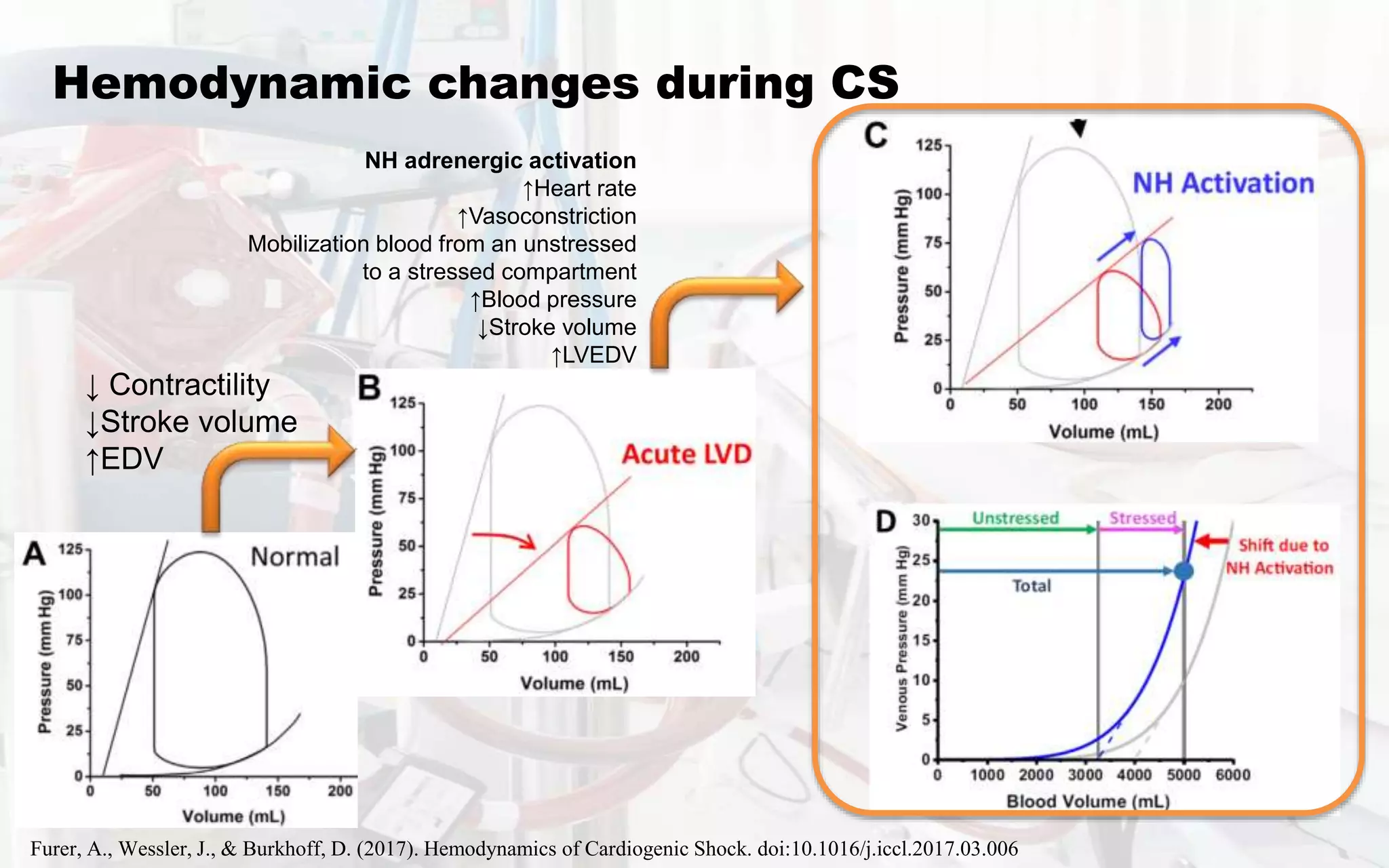 2022 Conference hemodynamic monitoring in VA ECMO | PPTX
