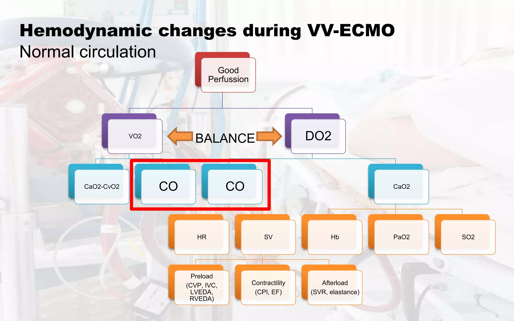 2021 Conference hemodynamic monitoring VV ECMO | PPTX