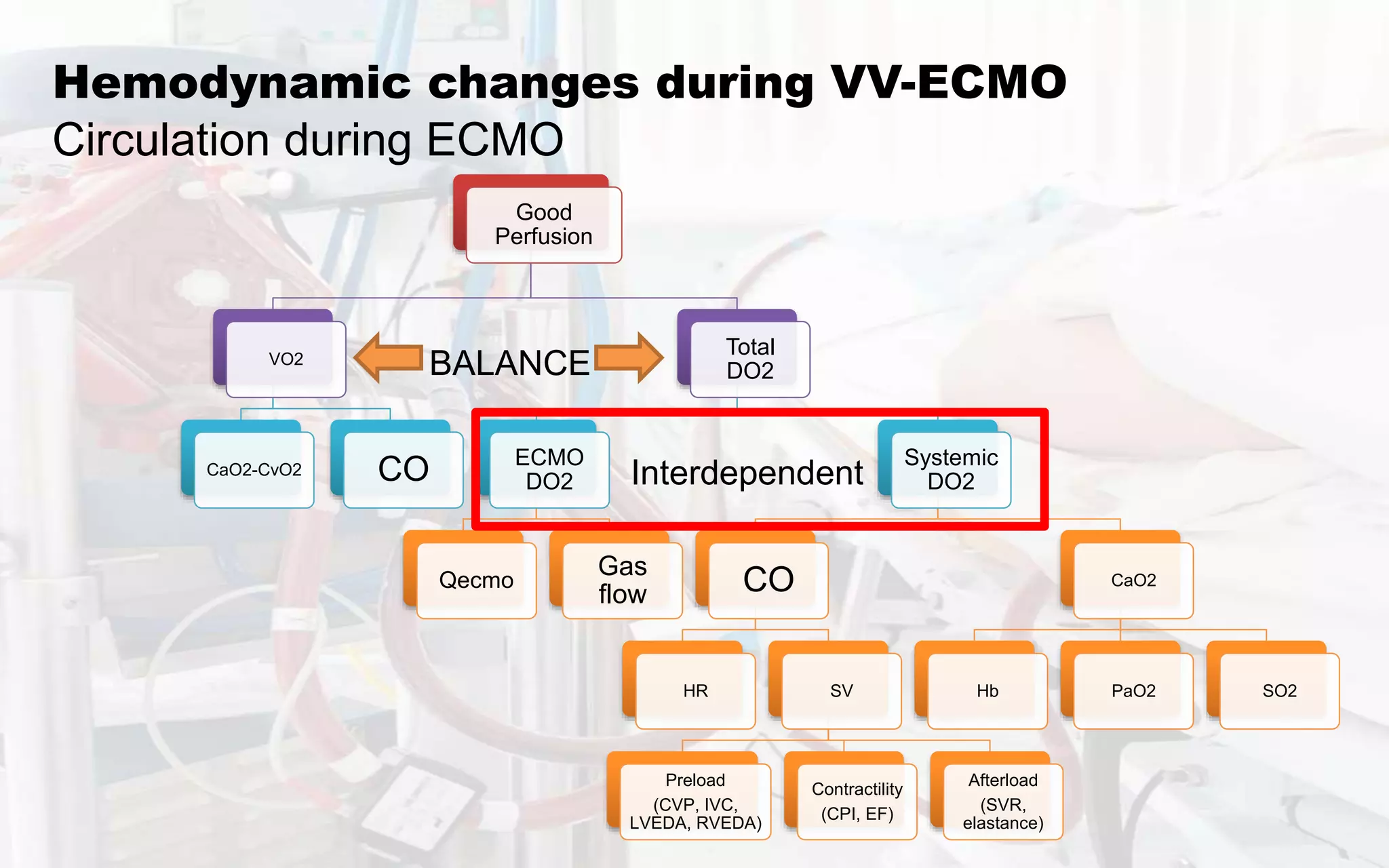 2021 Conference hemodynamic monitoring VV ECMO | PPTX