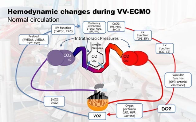 2021 Conference hemodynamic monitoring VV ECMO | PPTX | First Aid ...