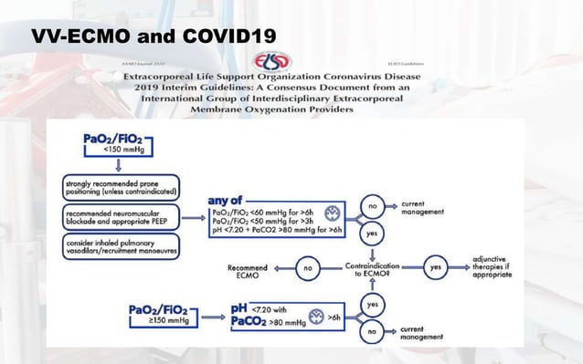 2021 Conference hemodynamic monitoring VV ECMO | PPTX | First Aid ...