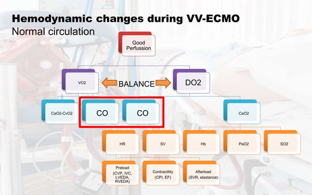 2021 Conference hemodynamic monitoring VV ECMO | PPTX | First Aid ...