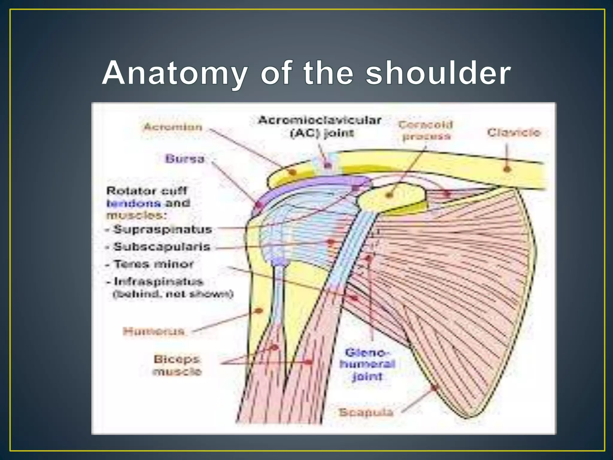 regional anesthesia in shoulder arthroscopy | PPTX
