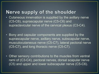 regional anesthesia in shoulder arthroscopy | PPTX