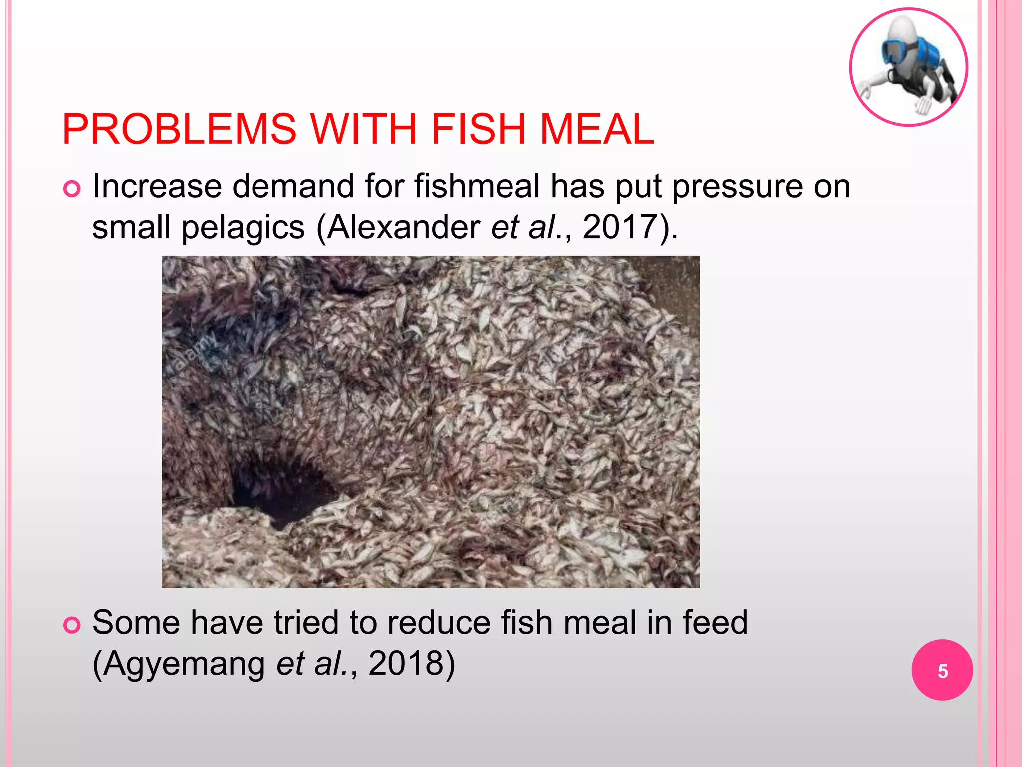 Fish Feed for Aquaculture - Ways to Reduce its ecological footprint | PPT