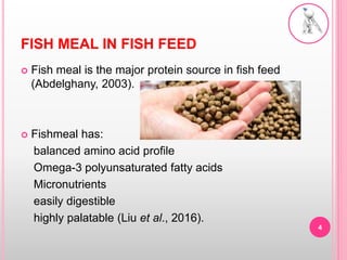 Fish Feed for Aquaculture - Ways to Reduce its ecological footprint | PPT