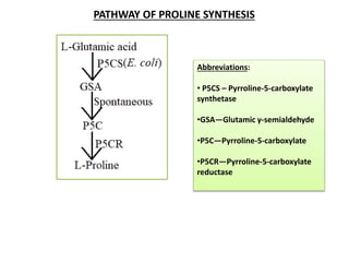 Genes for salinity resitance in rice | PPTX