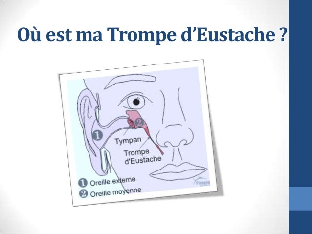 Pourquoi Les Trompes D’Eustache Sont-Elles Fermées – MGNAR