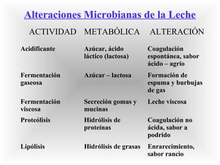 Conferencia 1 transporte y calidad de la leche | PPT | Descarga Gratuita