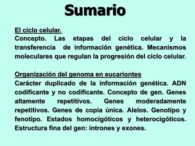 Conferencia 12Ciclocelular sobre el arn.ppt