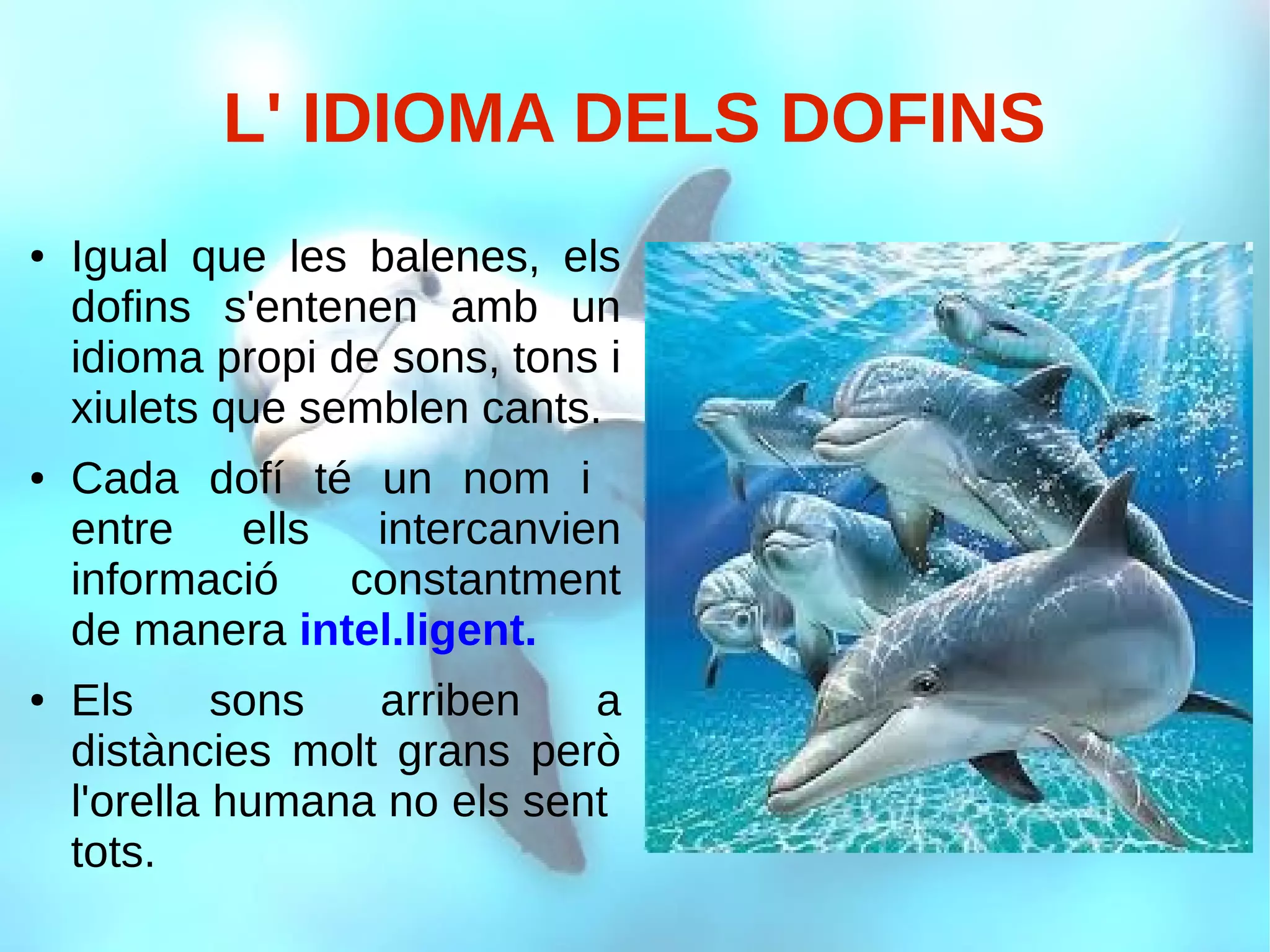 Conferencia 2017 eloi_dofins | PDF