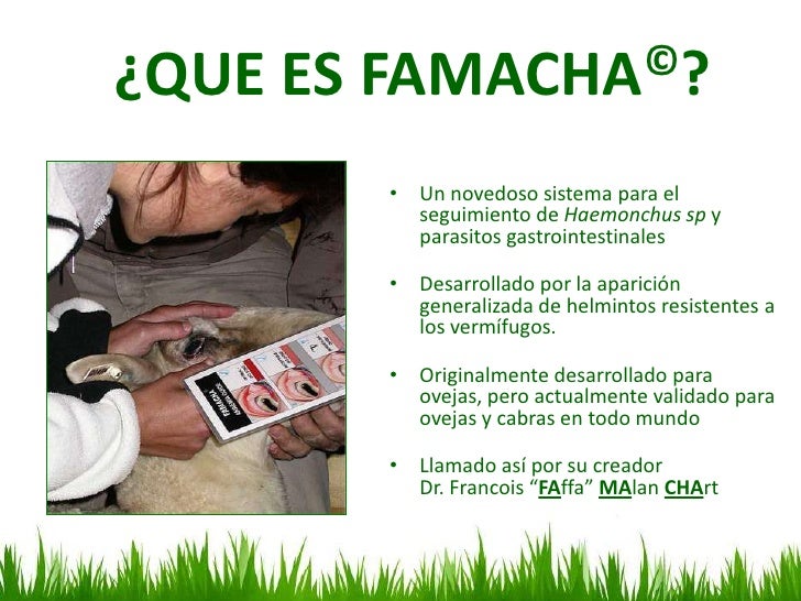 Famacha