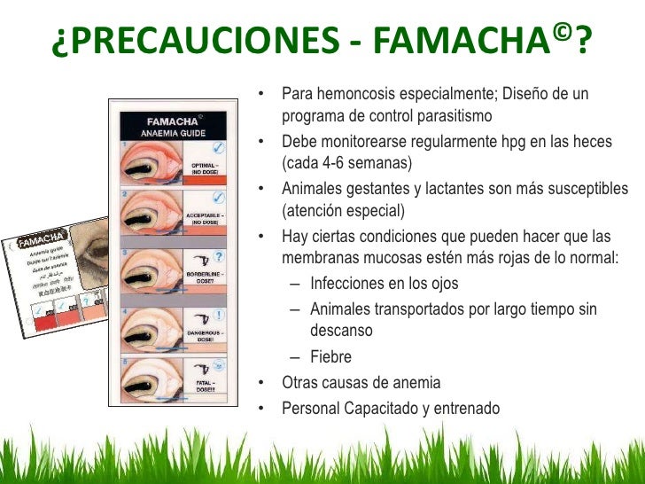 Famacha