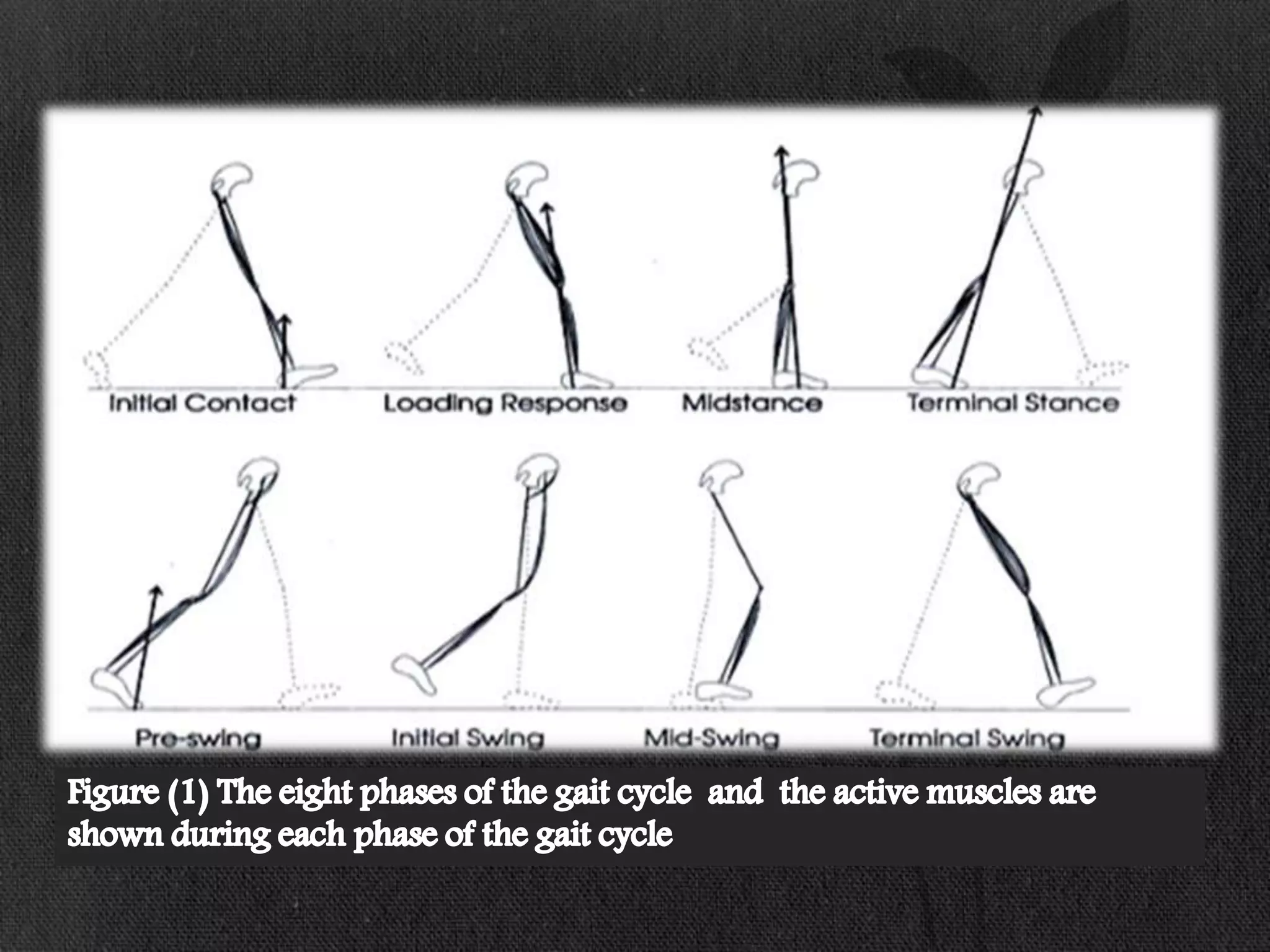 Study surface roughness and friction of synovial human knee joint with ...