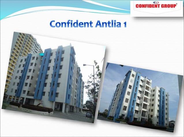 Confident Group Project Antlia 1 | PPTX