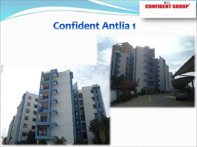 Confident Group Project Antlia 1 | PPTX