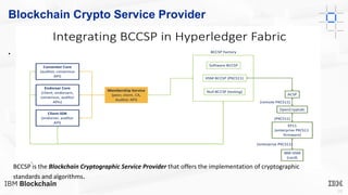 Confidential compute with hyperledger fabric .v17