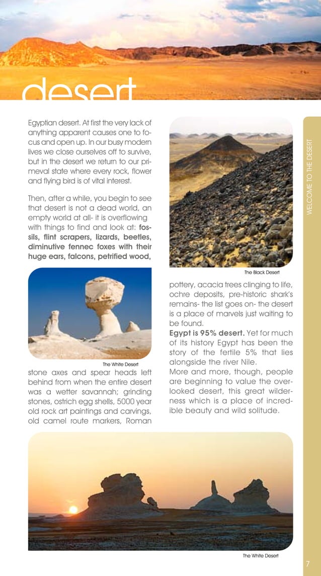 Egypt Desert | PDF