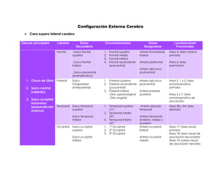 Configuración externa cerebro tabla .pdf