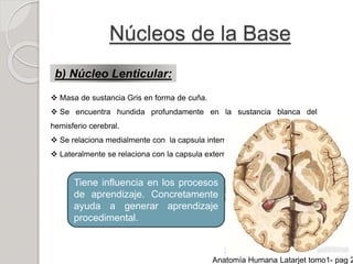 Configuración Interna sustancia blanca fibras Dr carlos anatomia.. yo.pptx