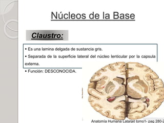 Configuración Interna sustancia blanca fibras Dr carlos anatomia.. yo.pptx