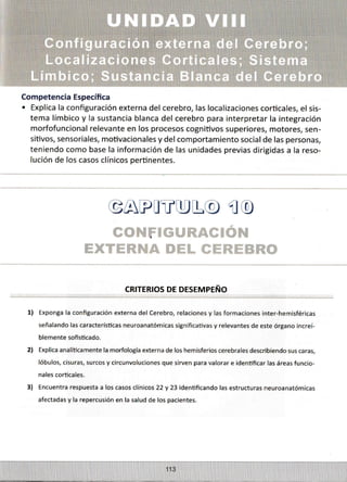 Configuración Externa de Cerebro 2.pdf | Free Download